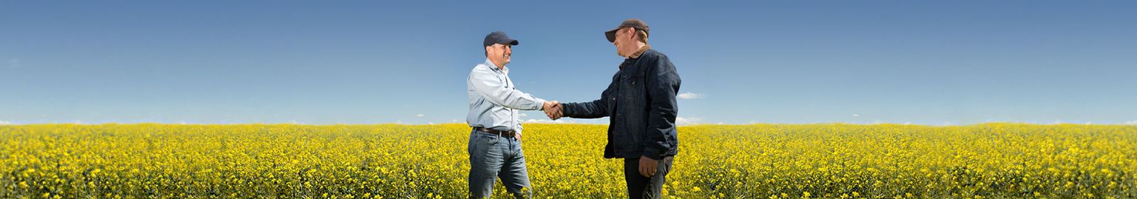 Wholesale Produce Distributors | Fresh Produce Company